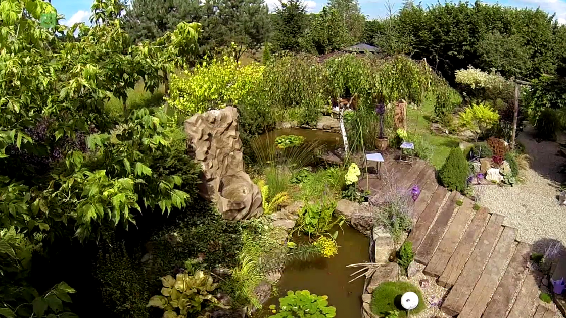 Rok w ogrodzie: extra, 13.10.2018 - programy, Oglądaj na TVP VOD