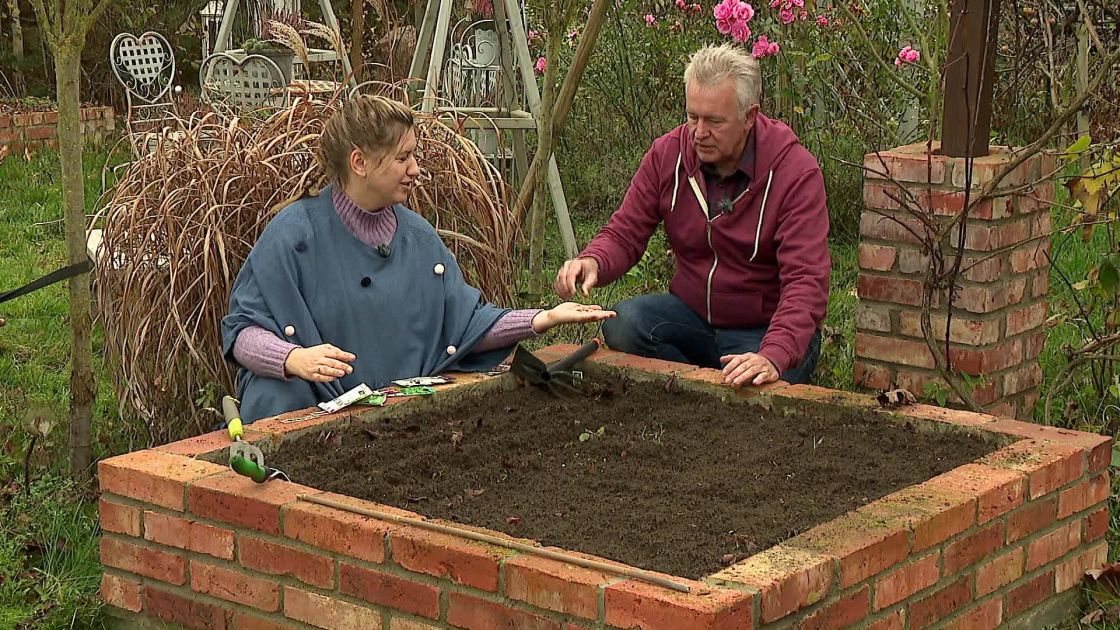 Rok w ogrodzie: 02.12.2022 - programy, Oglądaj na TVP VOD