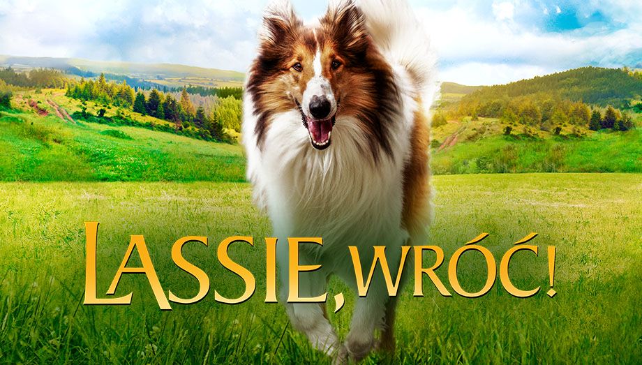 Lassie, wróć! - filmy fabularne, Oglądaj na TVP VOD