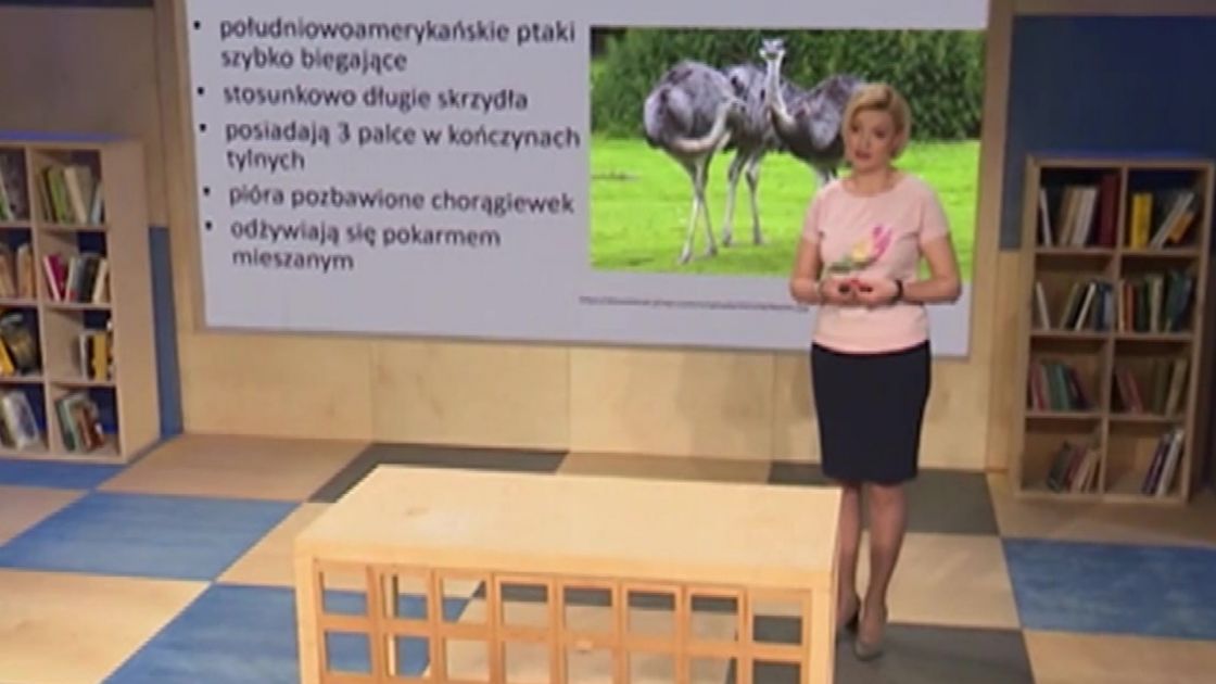 Szkoła z TVP: klasa 1 ponadpodstawowa: Biologia, Lekcja 4, 11.05.2020 - programy, Oglądaj na TVP VOD