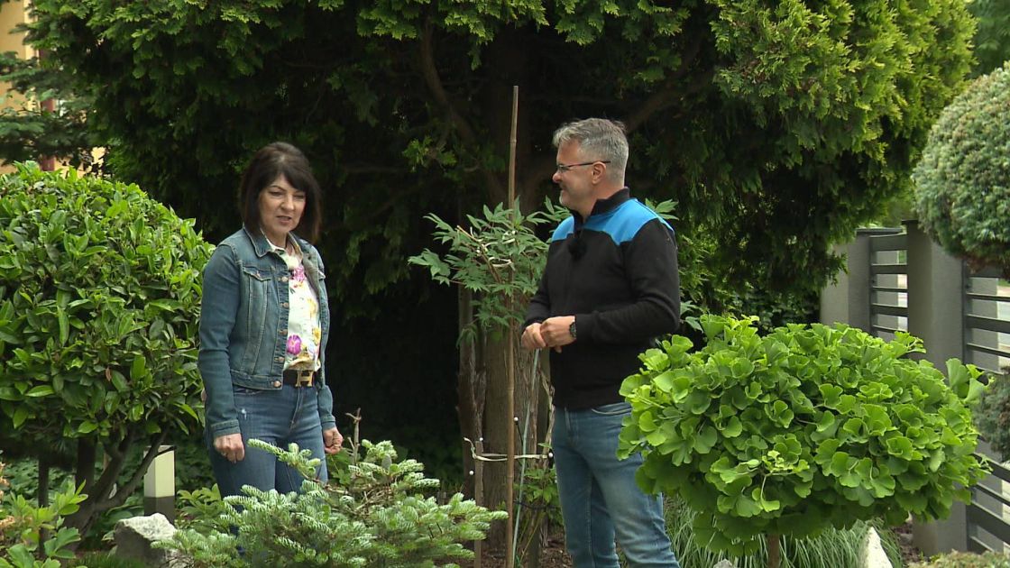 Rok w ogrodzie: 07.10.2023 - programy, Oglądaj na TVP VOD