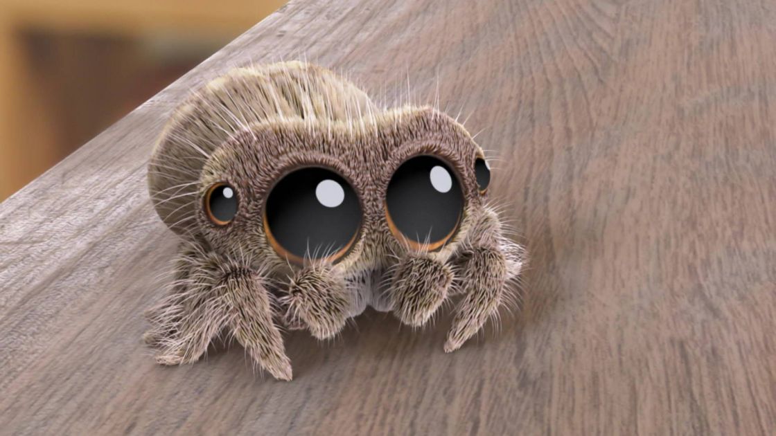 Pająk Lucas: odcinek 16 – Ani mrug - mrug - dla dzieci, Oglądaj na TVP VOD