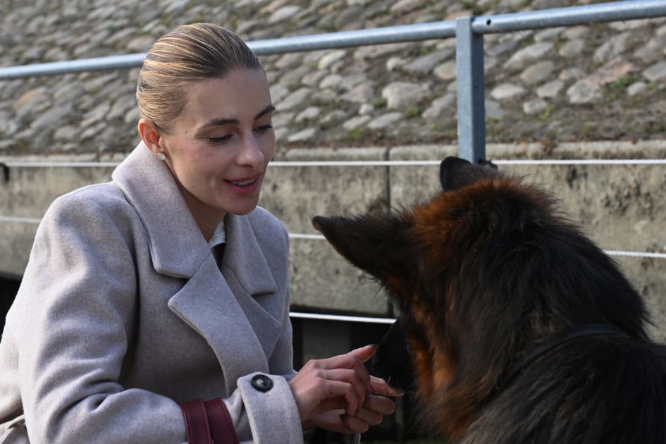 Komisarz Alex: odc. 11 – Druga twarz - serial telewizyjny, Oglądaj na ...