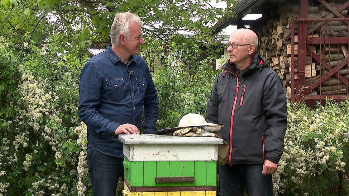 Rok w ogrodzie: 10.06.2023, extra - programy, Oglądaj na TVP VOD