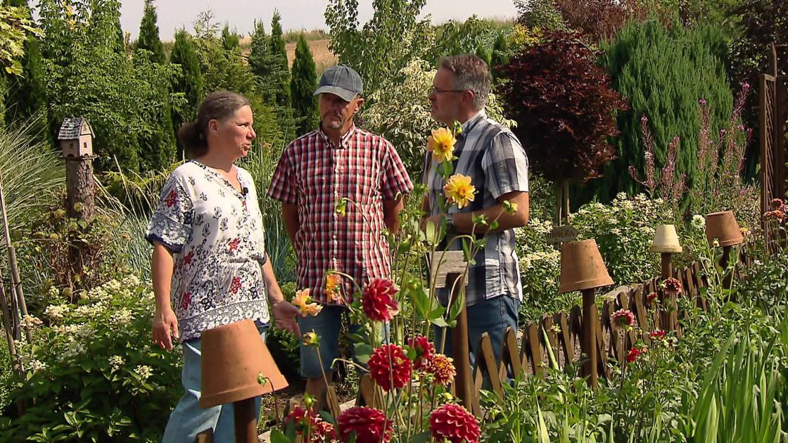 Rok w ogrodzie: 31.12.2022, extra - programy, Oglądaj na TVP VOD