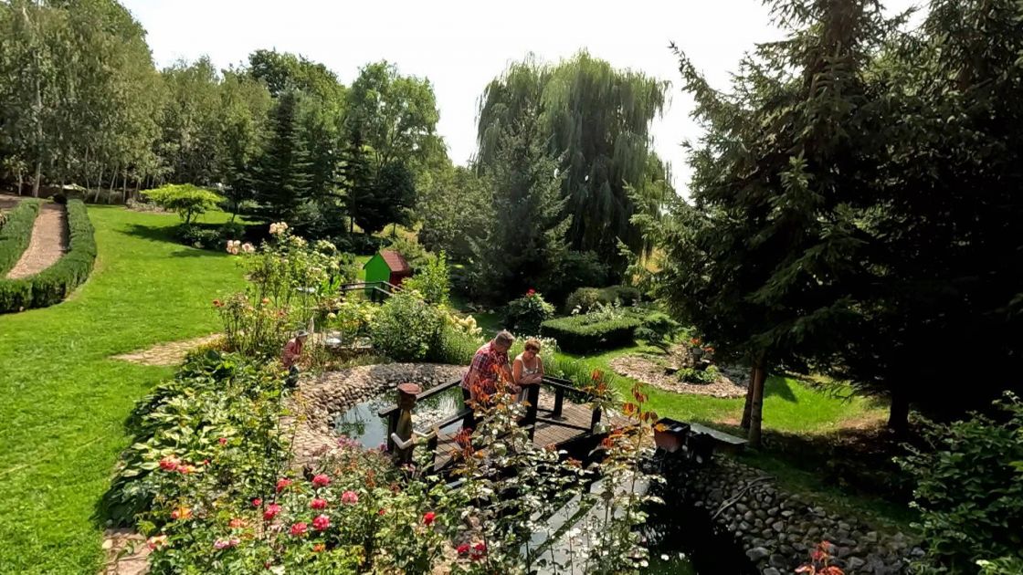 Rok w ogrodzie: 09.03.2024 - programy, Oglądaj na TVP VOD