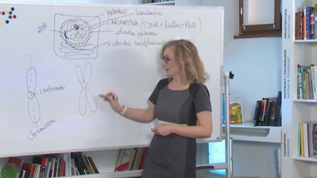 Szkoła z TVP: klasa 1 ponadpodstawowa – nowa podstawa programowa: Biologia, Lekcja 4, 06.04.2020 ...