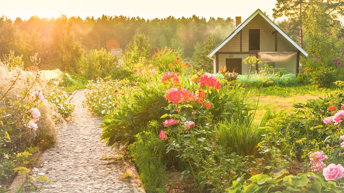 Rok w ogrodzie - programy, Oglądaj na TVP VOD