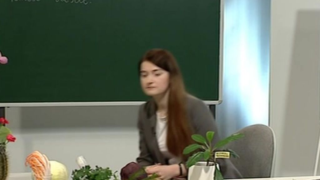 Szkoła z TVP: klasa 5: Biologia, Lekcja 2, 07.04.2020 - programy, Oglądaj na TVP VOD