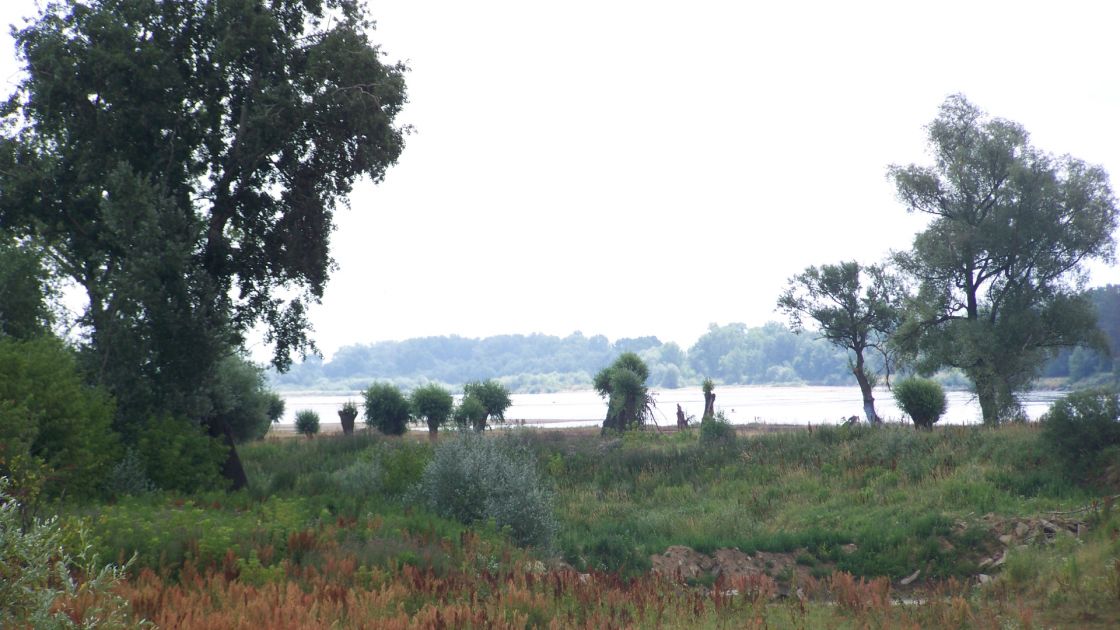 Słownik polsko@polski: Ugór, odc. 551 - programy, Oglądaj na TVP VOD