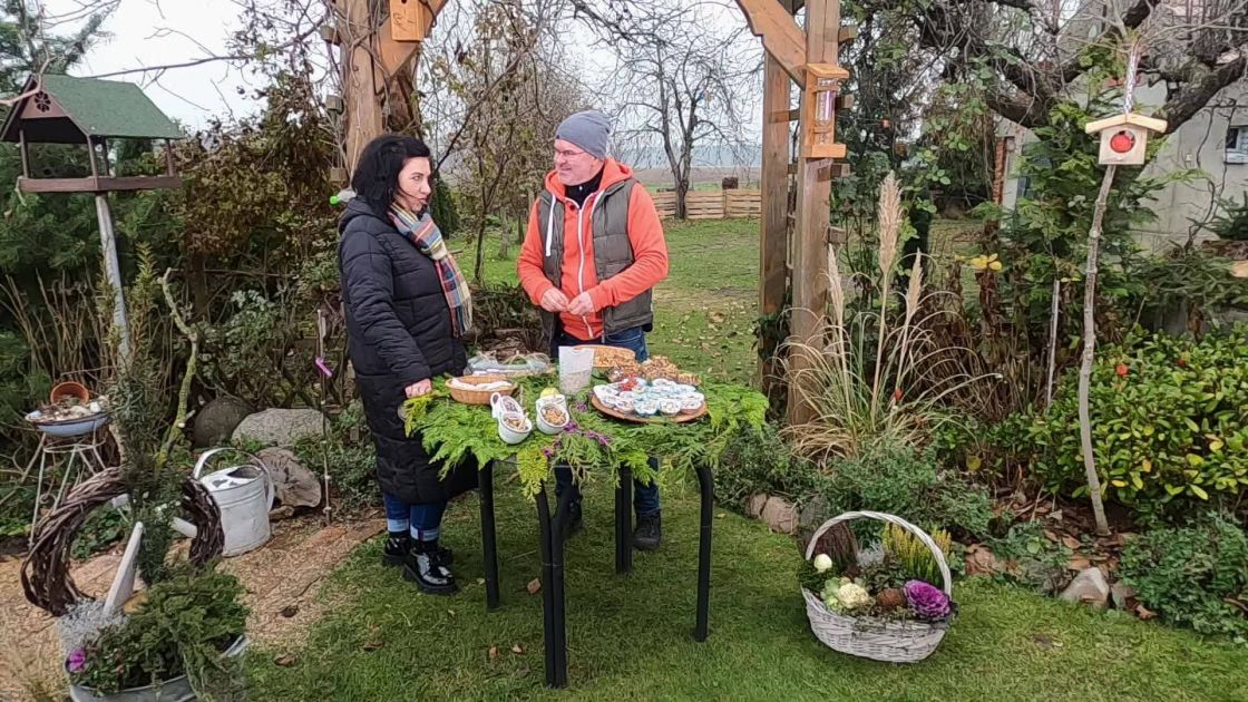 Rok w ogrodzie: 20.01.2023 - programy, Oglądaj na TVP VOD