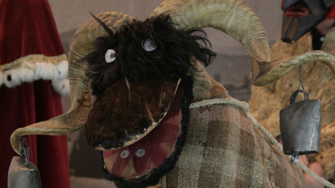 Słownik polsko@polski: Turoń, odc. 558 - programy, Oglądaj na TVP VOD