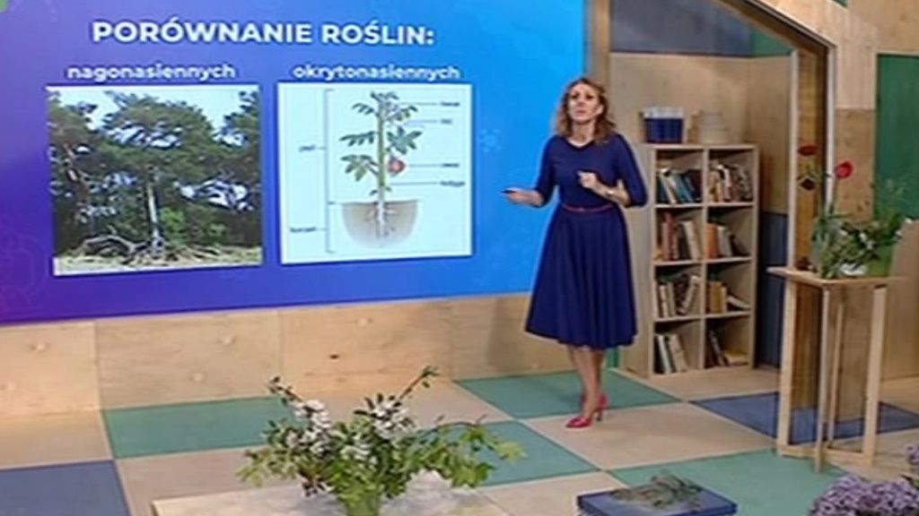 Szkoła z TVP: klasa 5: Biologia, Lekcja 1, 12.05.2020 - programy, Oglądaj na TVP VOD