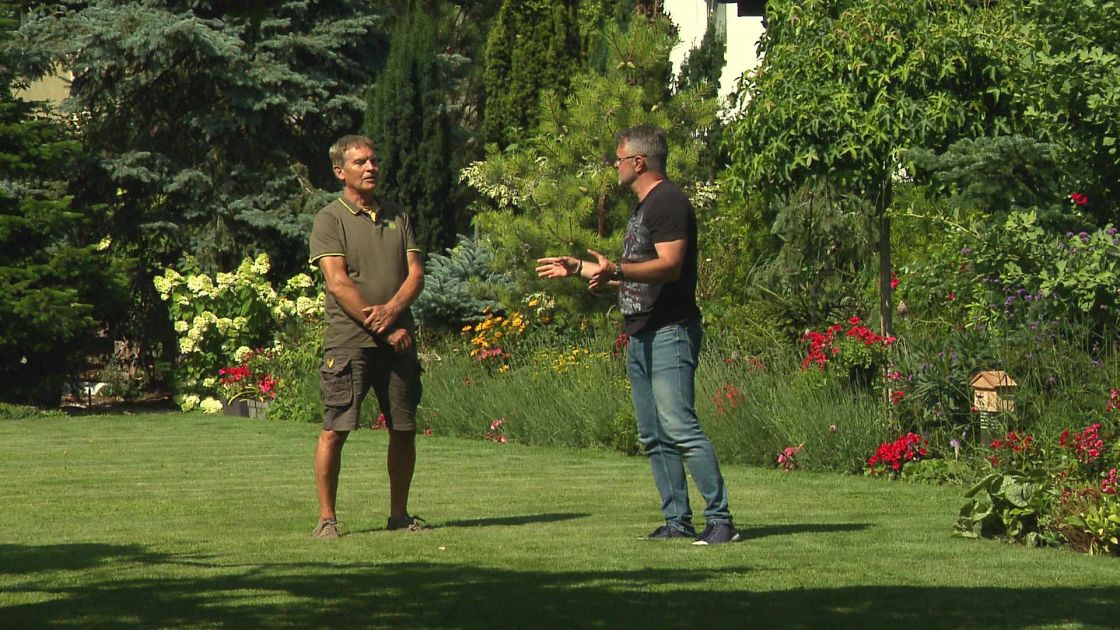 Rok w ogrodzie: 23.12.2023 - programy, Oglądaj na TVP VOD