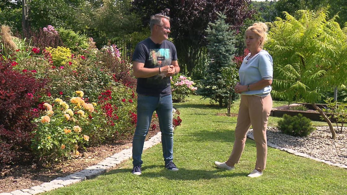 Rok w ogrodzie: 02.12.2023 - programy, Oglądaj na TVP VOD