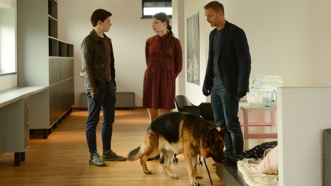 Komisarz Alex: odc. 6 – Oliwier - serial telewizyjny, Oglądaj na TVP VOD