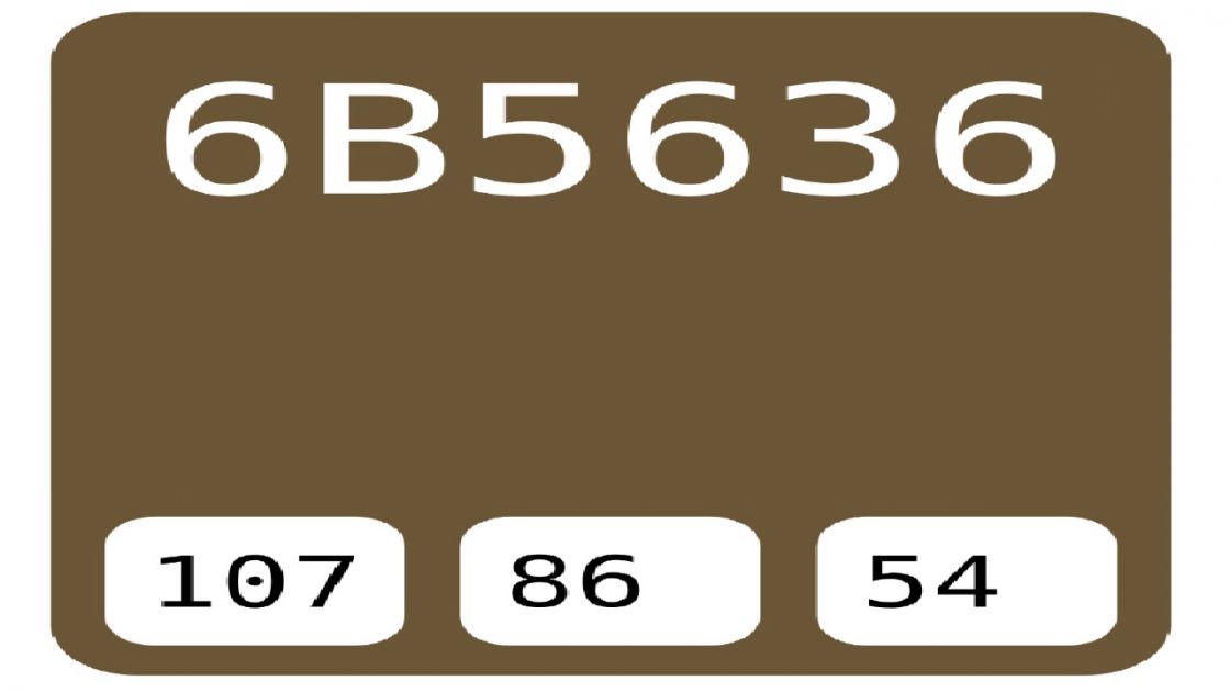 Słownik polsko@polski: Bury, odc. 467 - programy, Oglądaj na TVP VOD