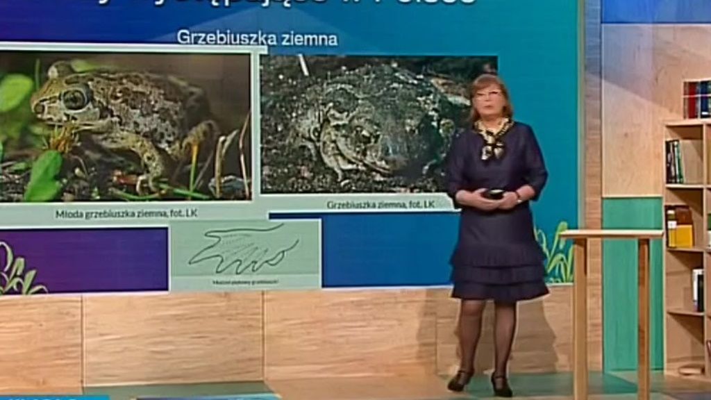 Szkoła z TVP: klasa 6: Biologia, Lekcja 1, 28.04.2020 - programy, Oglądaj na TVP VOD