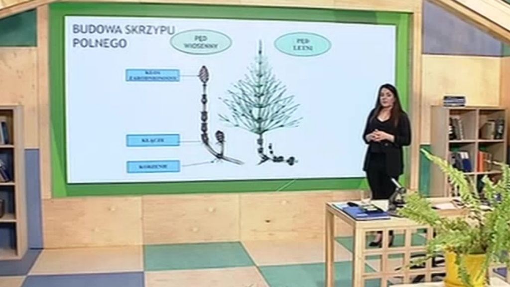 Szkoła z TVP: klasa 5: Biologia, Lekcja 1, 28.04.2020 - programy, Oglądaj na TVP VOD