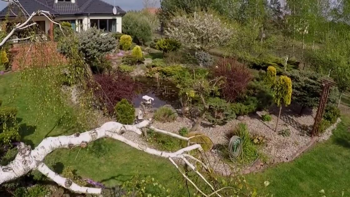 Rok w ogrodzie: extra, 30.05.2020 - programy, Oglądaj na TVP VOD