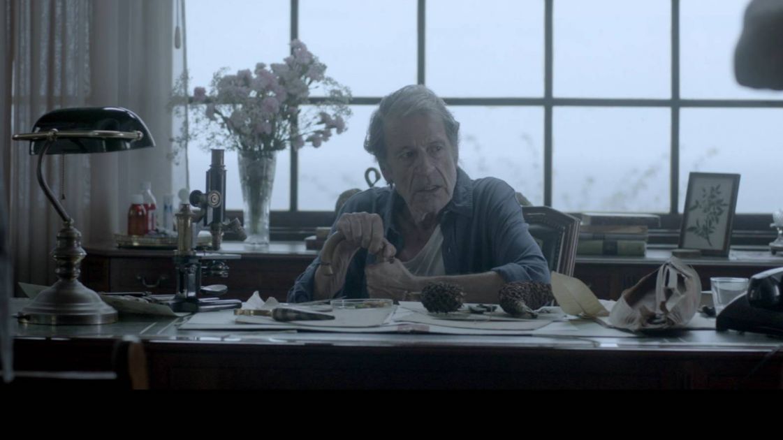 Cztery pory roku w Hawanie: odc. 8 - serial telewizyjny, Oglądaj na TVP VOD