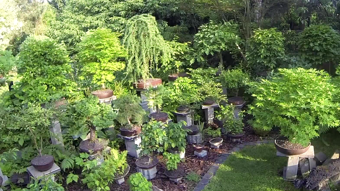 Rok w ogrodzie: extra, 30.06.2018 - programy, Oglądaj na TVP VOD