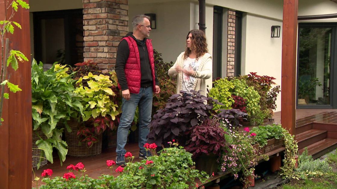 Rok w ogrodzie: 27.05.2023, extra - programy, Oglądaj na TVP VOD