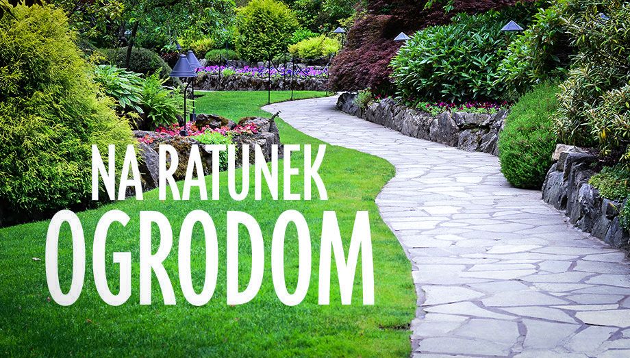Na ratunek ogrodom - programy, Oglądaj na TVP VOD Na ratunek ogrodom - programy, Oglądaj na TVP VOD