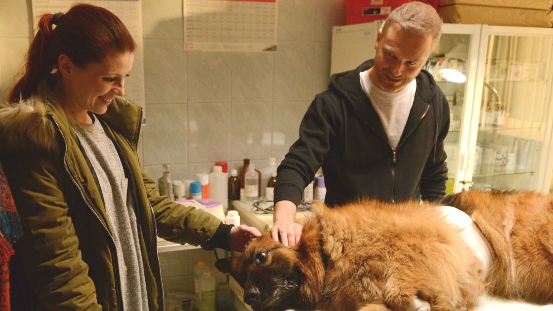 Komisarz Alex: odc. 13 – Zemsta - serial telewizyjny, Oglądaj na TVP VOD