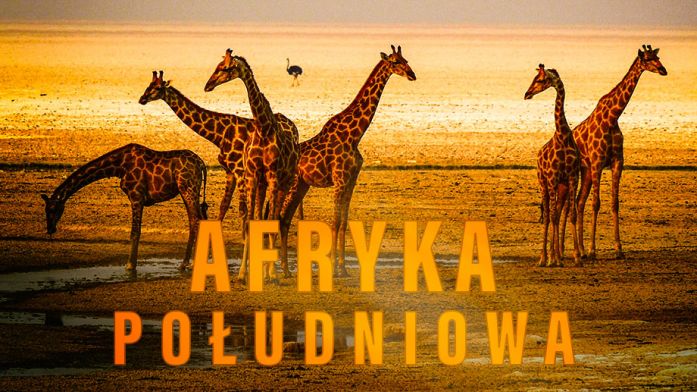 Vod.tvp.pl - Telewizja Polska S.A.